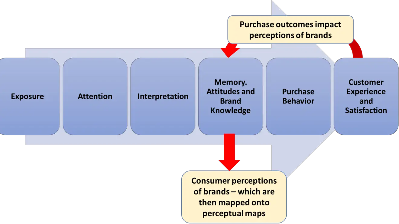 The Perceptual Process