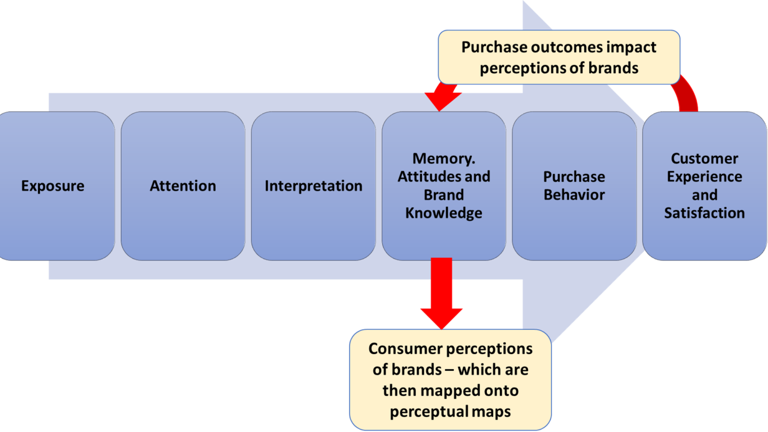 The Perceptual Process