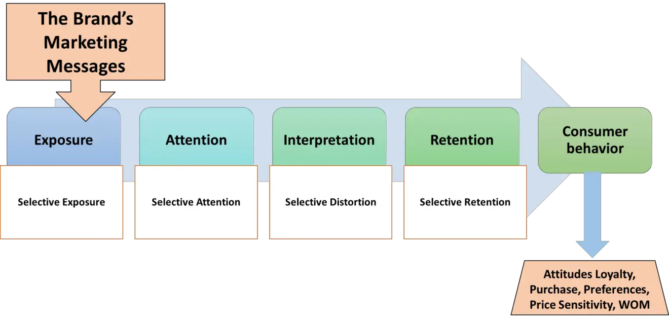 What is Selective Exposure?