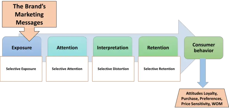 What is Selective Exposure?